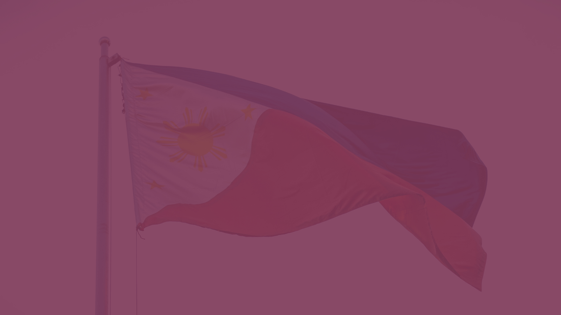 Authoritarian Legacies and Popular Support for State Violence: A Multi ...