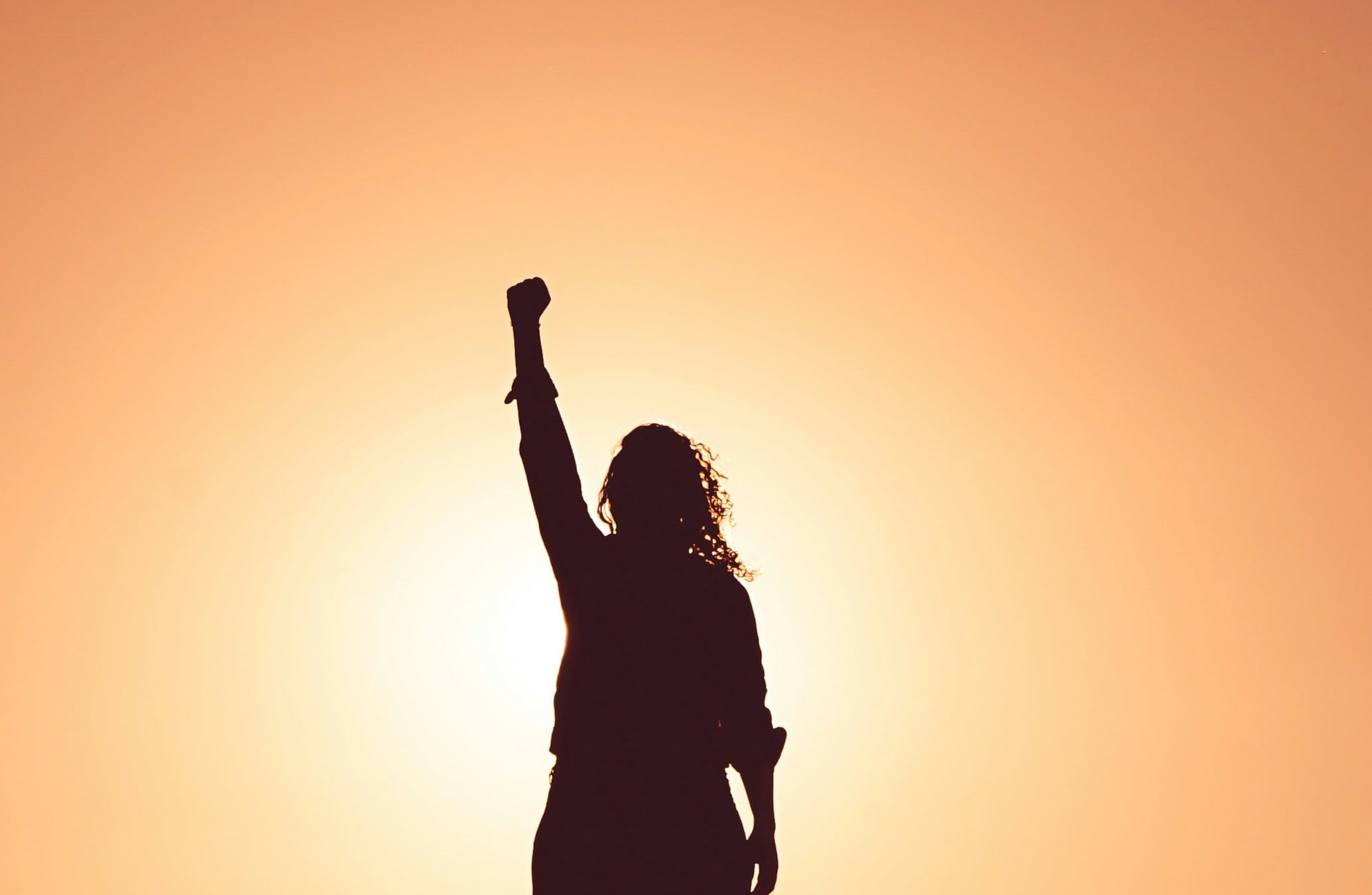 Never Give Up: Female German Anti-Fascists and the Rise of Hitler ...